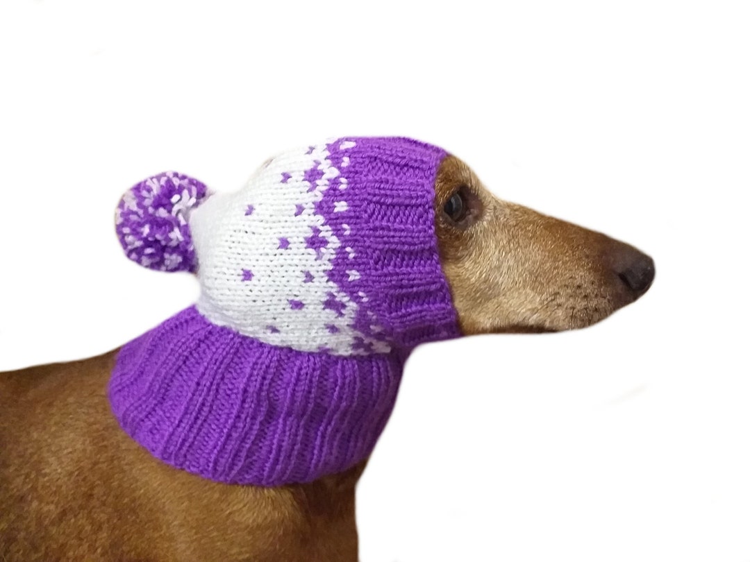 Winter Knitted Hat for Small Dog - Etsy