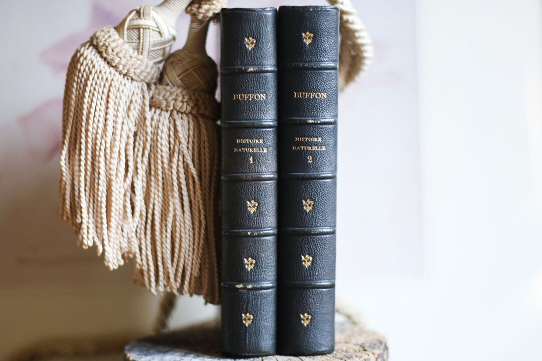 Collection of 2 French Antique Books, Quarter Bound in Leather, Brown ...