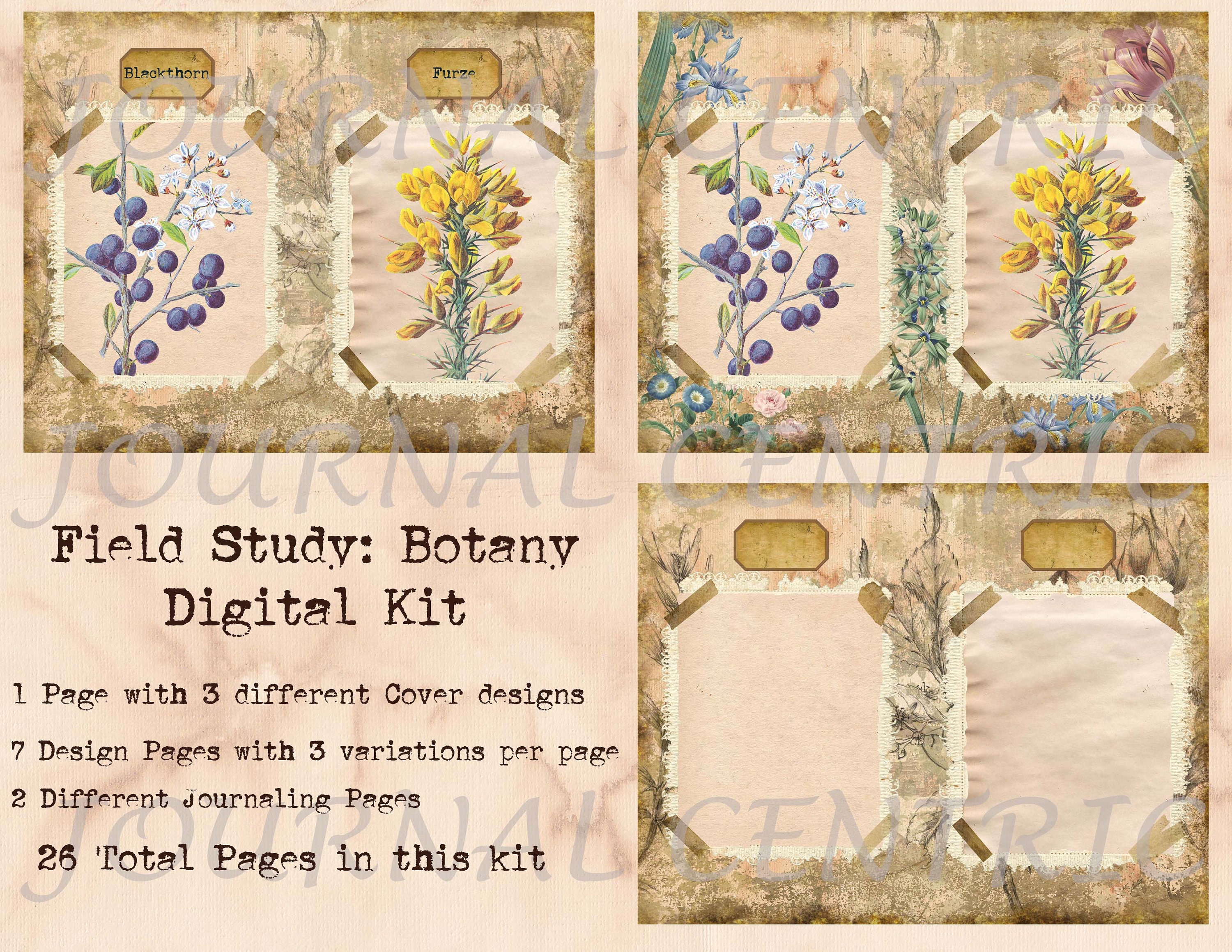 Field Study: Botany Digital Journal Kit 26 Total Pages - Etsy