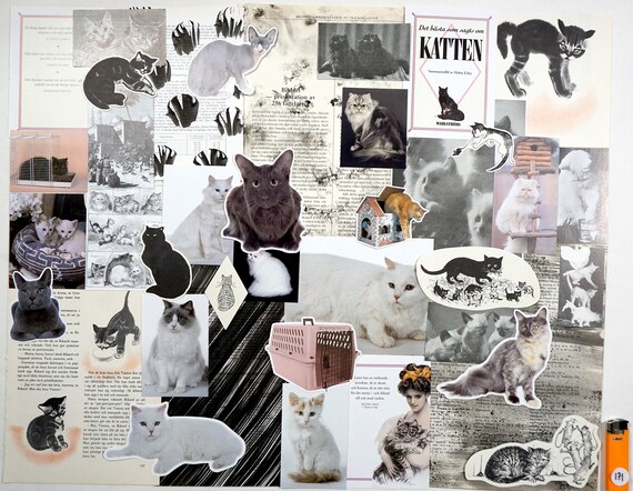 Vintage Ephemera Pack Cats Cut Outs From Books for | Etsy