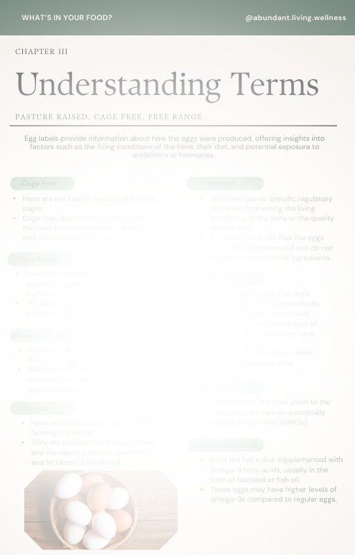 Understanding Food Labels - How to Guide - Digital Ebook - Etsy