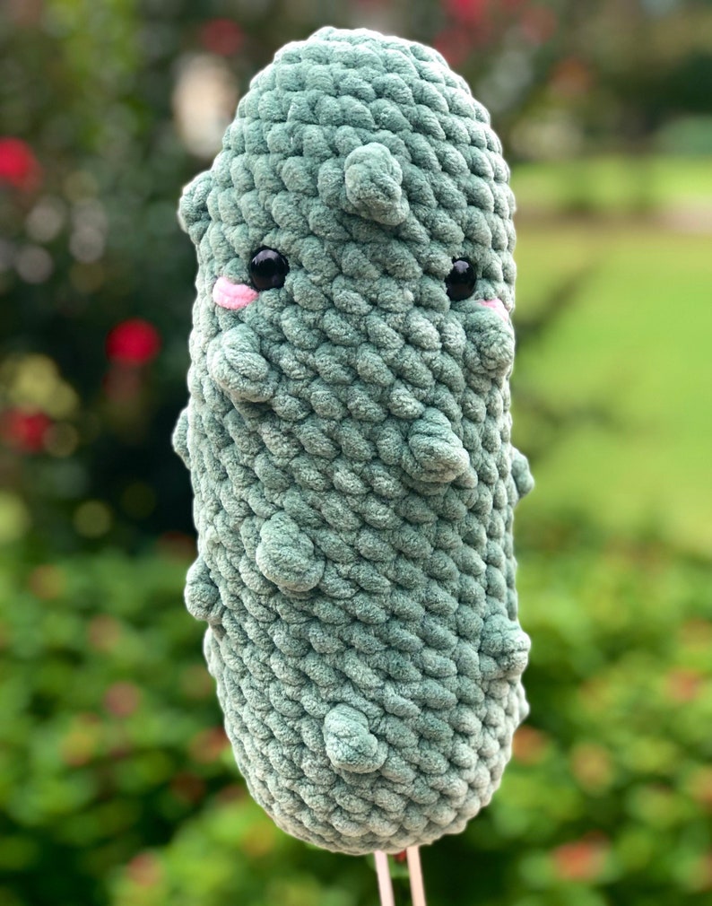 Chunky Crochet Pickle Plushie - Etsy