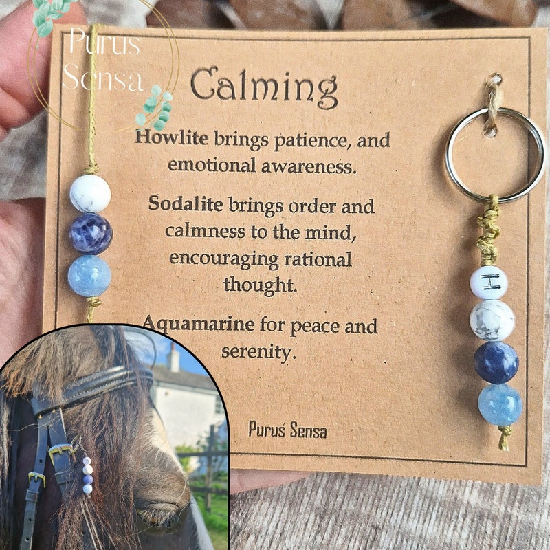 Bridle Charm for Horses - Etsy