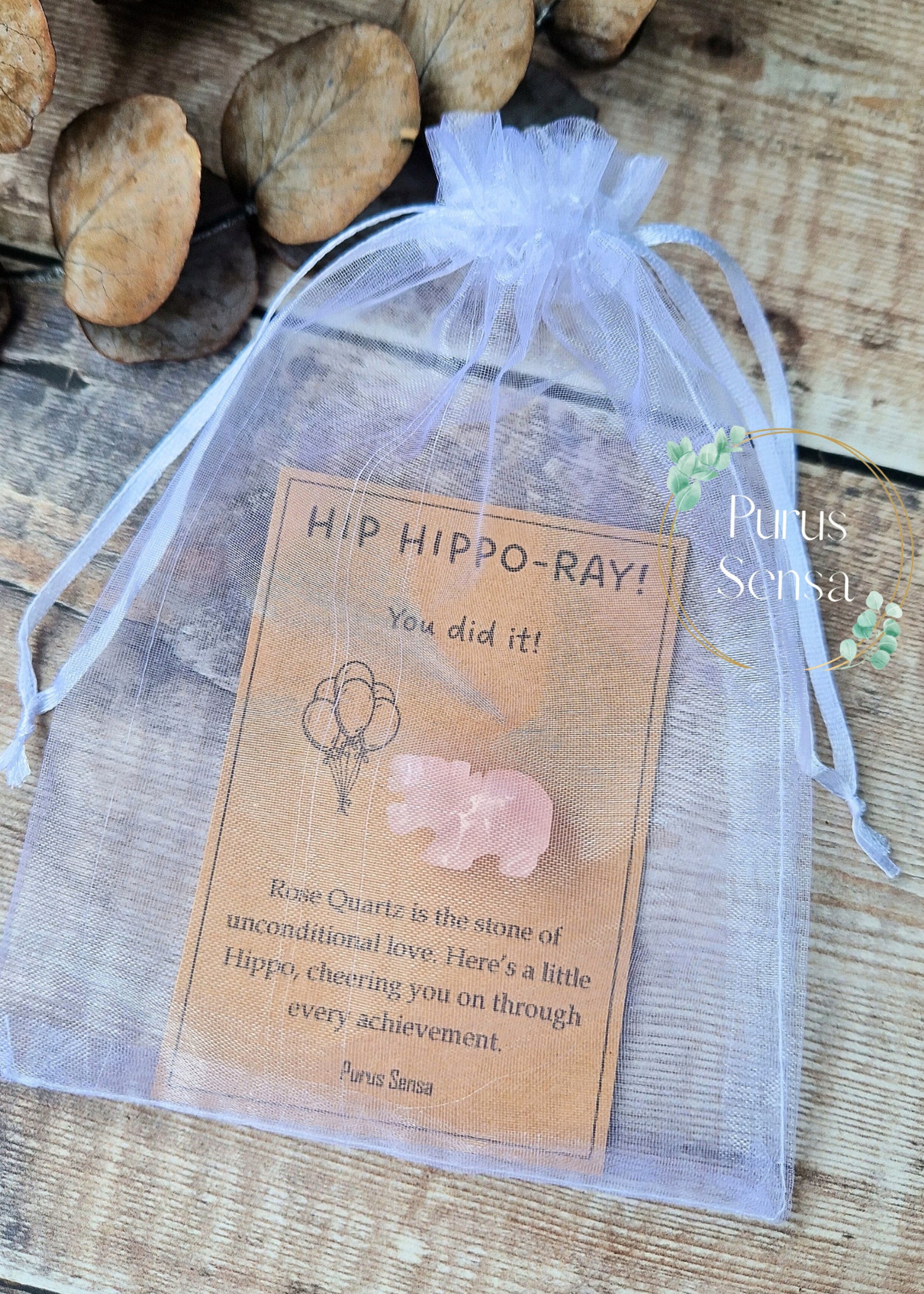 Crystal Congratulations Gift. Cute Hippo. Genuine Crystal. You Did It ...