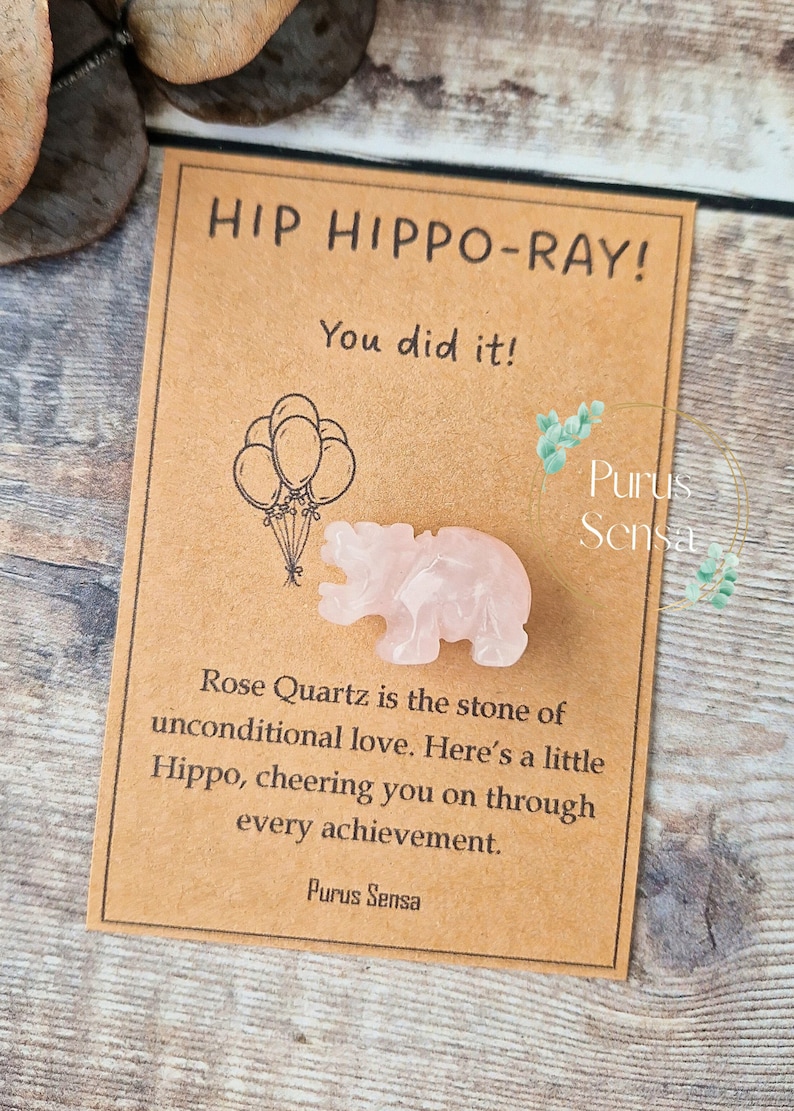 Crystal Congratulations Gift. Cute Hippo. Genuine Crystal. You Did It ...