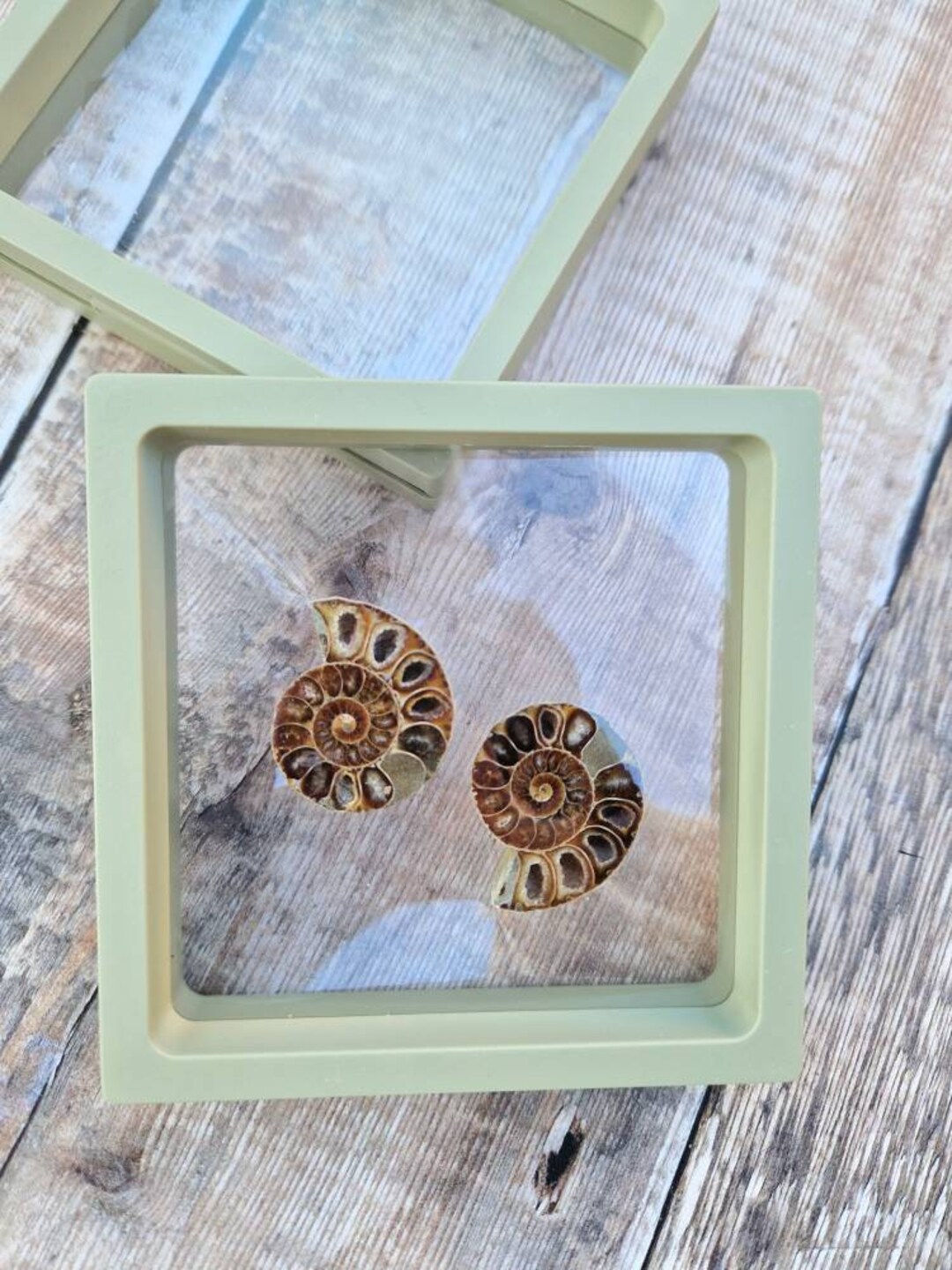 Crystal Storage. Fossil Storage Display / Solution. Crystal Frame ...