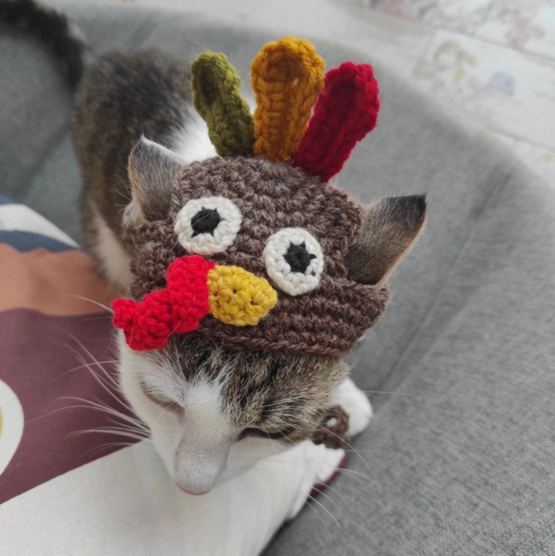 Turkey Cat Hat Thanksgiving Day Crochet Cat Bonnet Beanie Cat Lovers ...