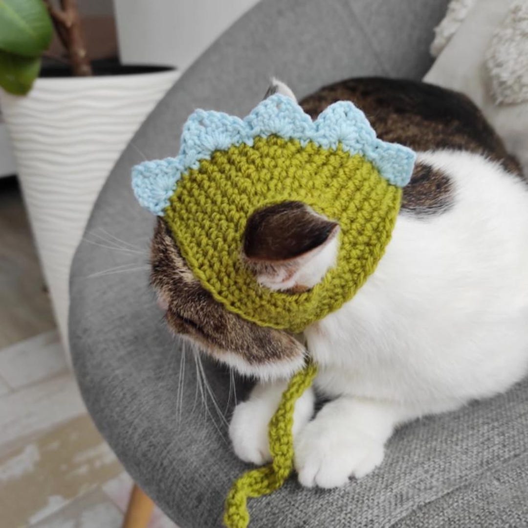 Dinosaur Hat for Cat Crochet Cat Bonnet Dino Cat Beanie Cat Lovers Gift ...