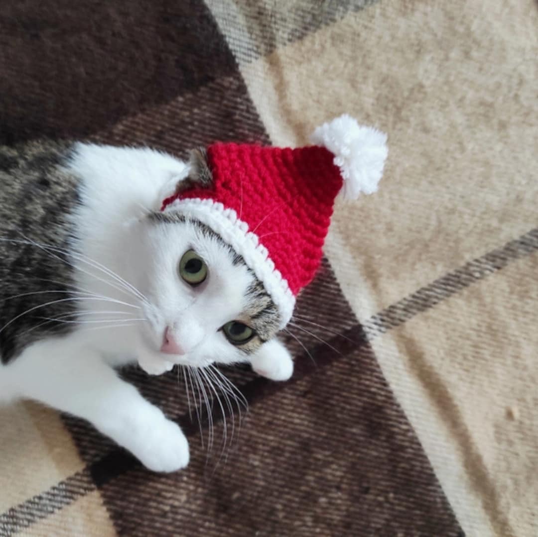 Santa Cat Hat Christmas Crochet Cat Bonnet Cute Pet Costumes Beanie Cat ...