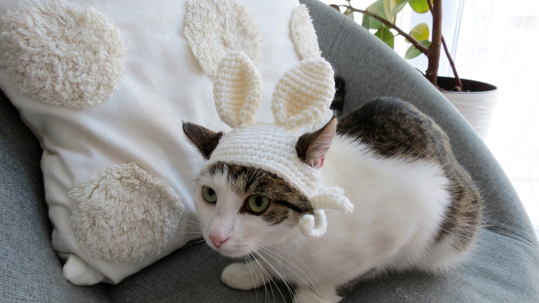 Bunny Ears Hat for Cat Easter Cat Gift Crochet Cat Bonnet Rabbit Cat ...
