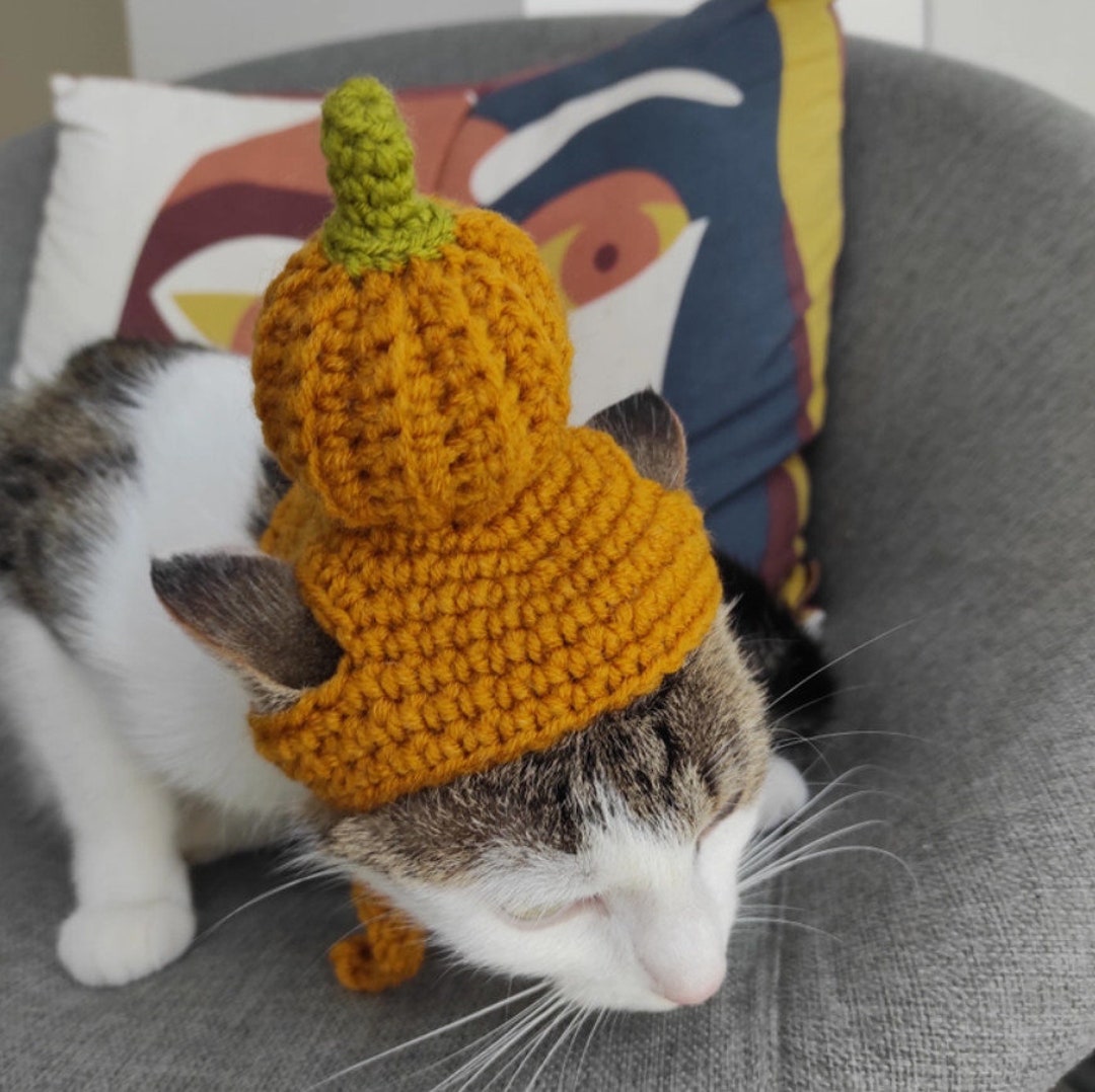 Cute Fall Pumpkin Cat Hat Halloween Crochet Cat Bonnet Beanie Cat ...