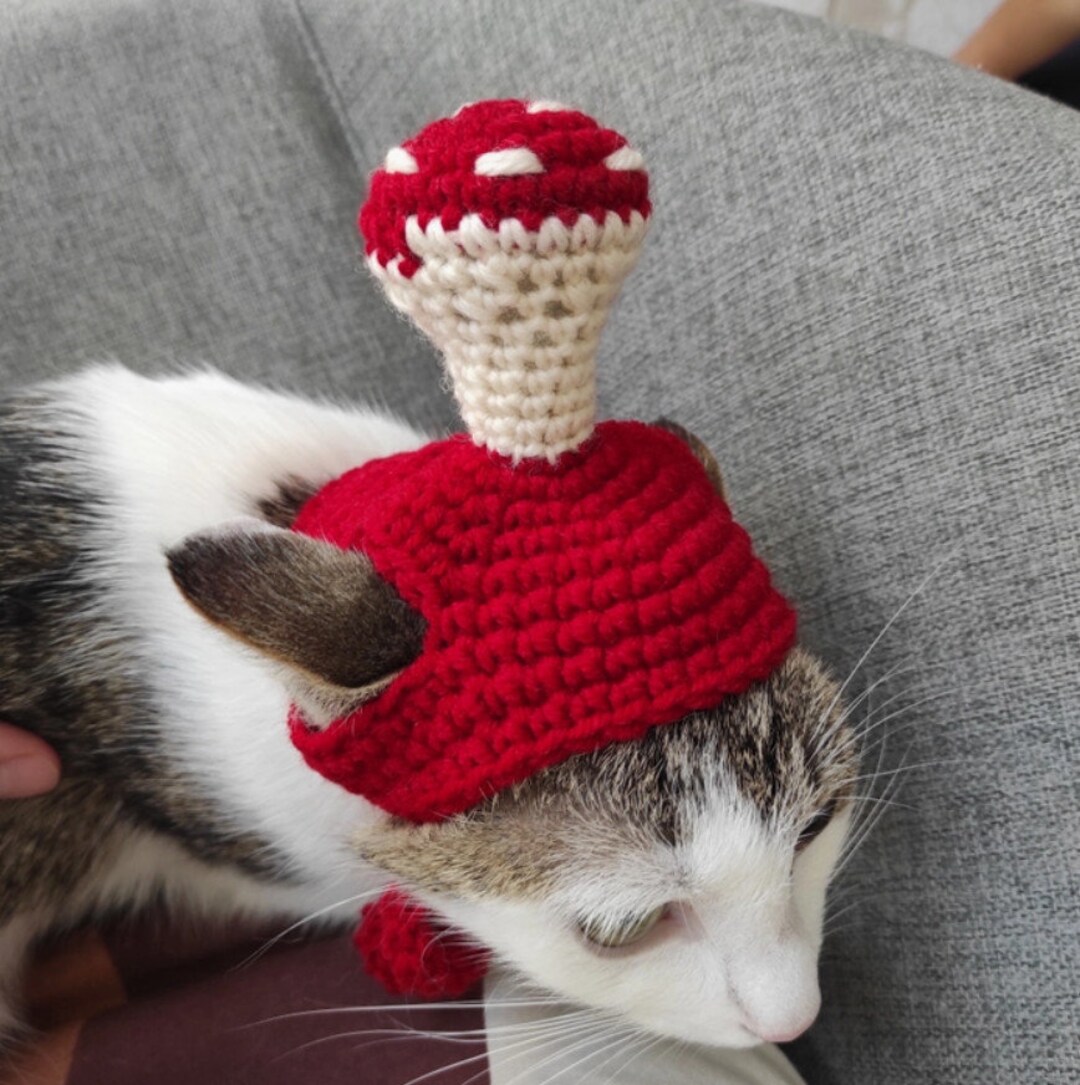 Mushroom Cat Hat Amanita Fall Crochet Cat Bonnet Halloween Pet Costumes ...