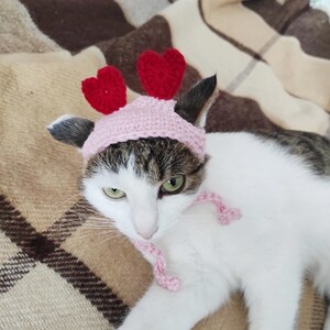 Valentines Day Heart Cat Hat Cute Pet Costumes Сrochet Cat Bonnet Cats ...