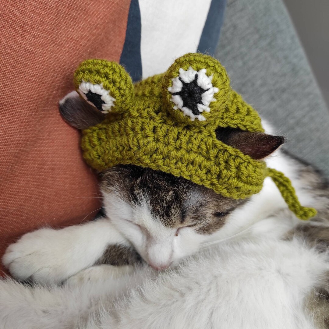 Frogg Hat for Cat Crochet Cat Bonnet Froggy Cat Beanie Cat Lovers Gift ...