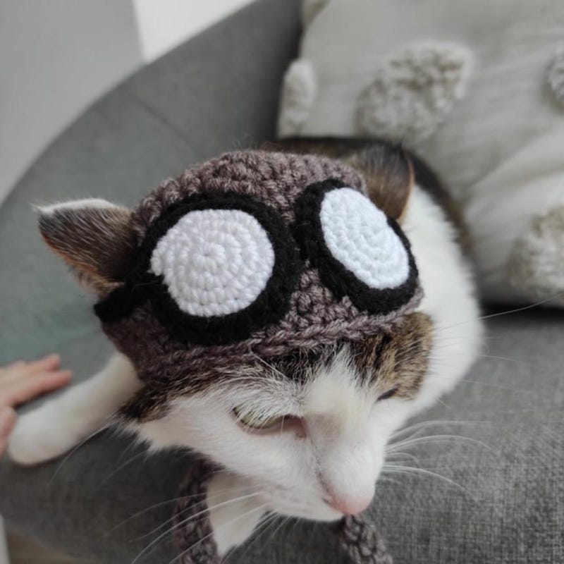 Aviator Cat Hat - Etsy