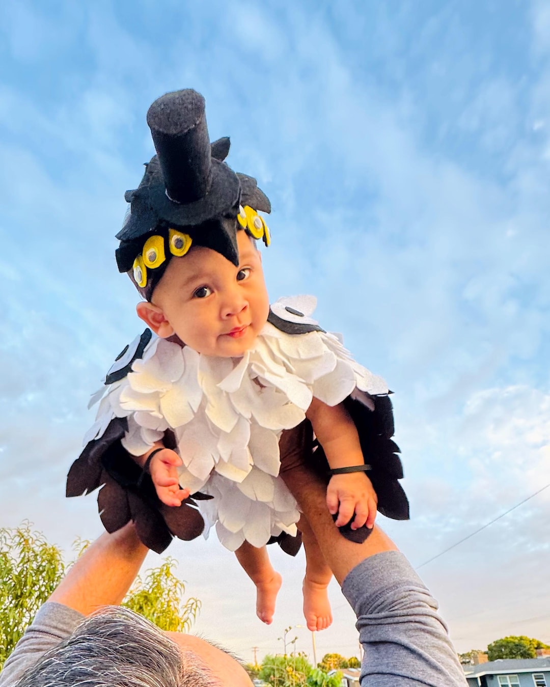 Sussie the Magpie Bird Costume for All Ages. (inspired From Kpop Demon ...