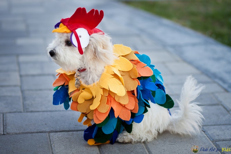 Any Bird Costume for Dogs or Cats - Etsy
