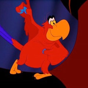 Iago From Aladdin Inspired Costume - Etsy
