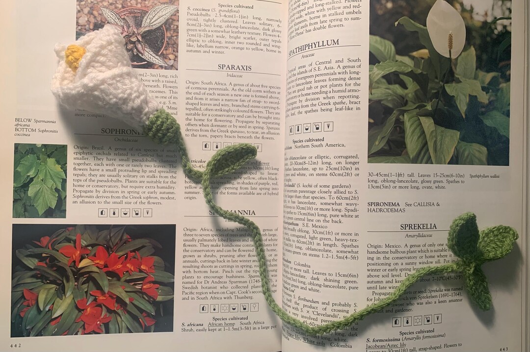 Lily Crochet Pattern, Crochet Flower Bookmark, Crochet Coaster, Crochet ...