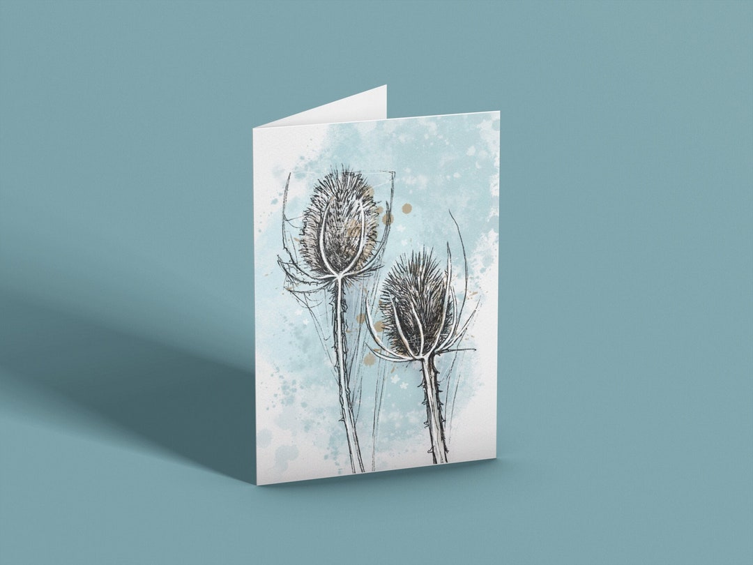 Thistle Card (blank Inside) Watercolour Greetings for Nature Lovers - Etsy