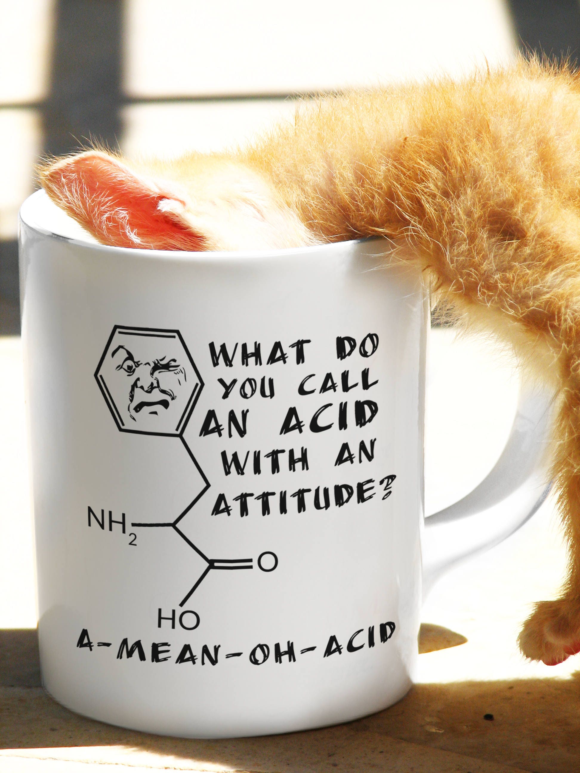 A Mean Oh Acid Pun Breaking Funny Science Mug A Great Gift | Etsy