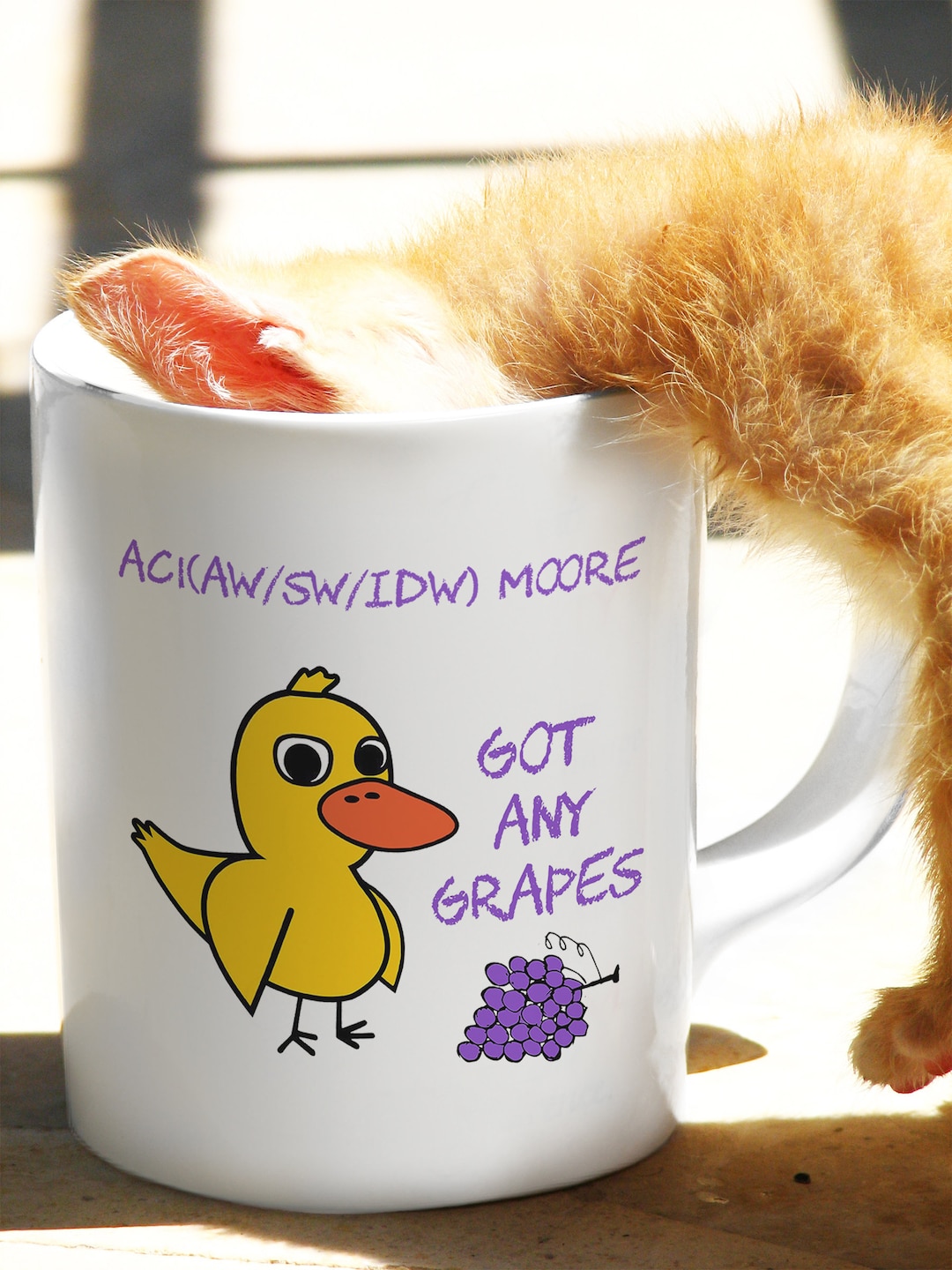 Got Any Grapes Duck Gift | Special Order | Lemonade Stand Song Mug - Etsy