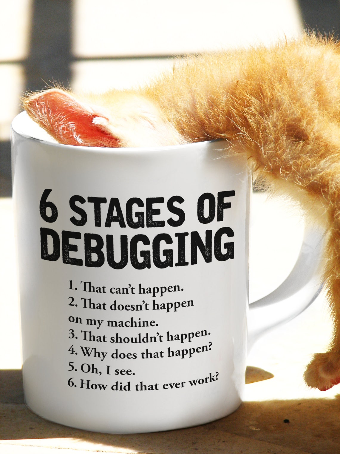 6 Stages of Debugging Bug Coding Computer Science Programmer | Etsy Canada