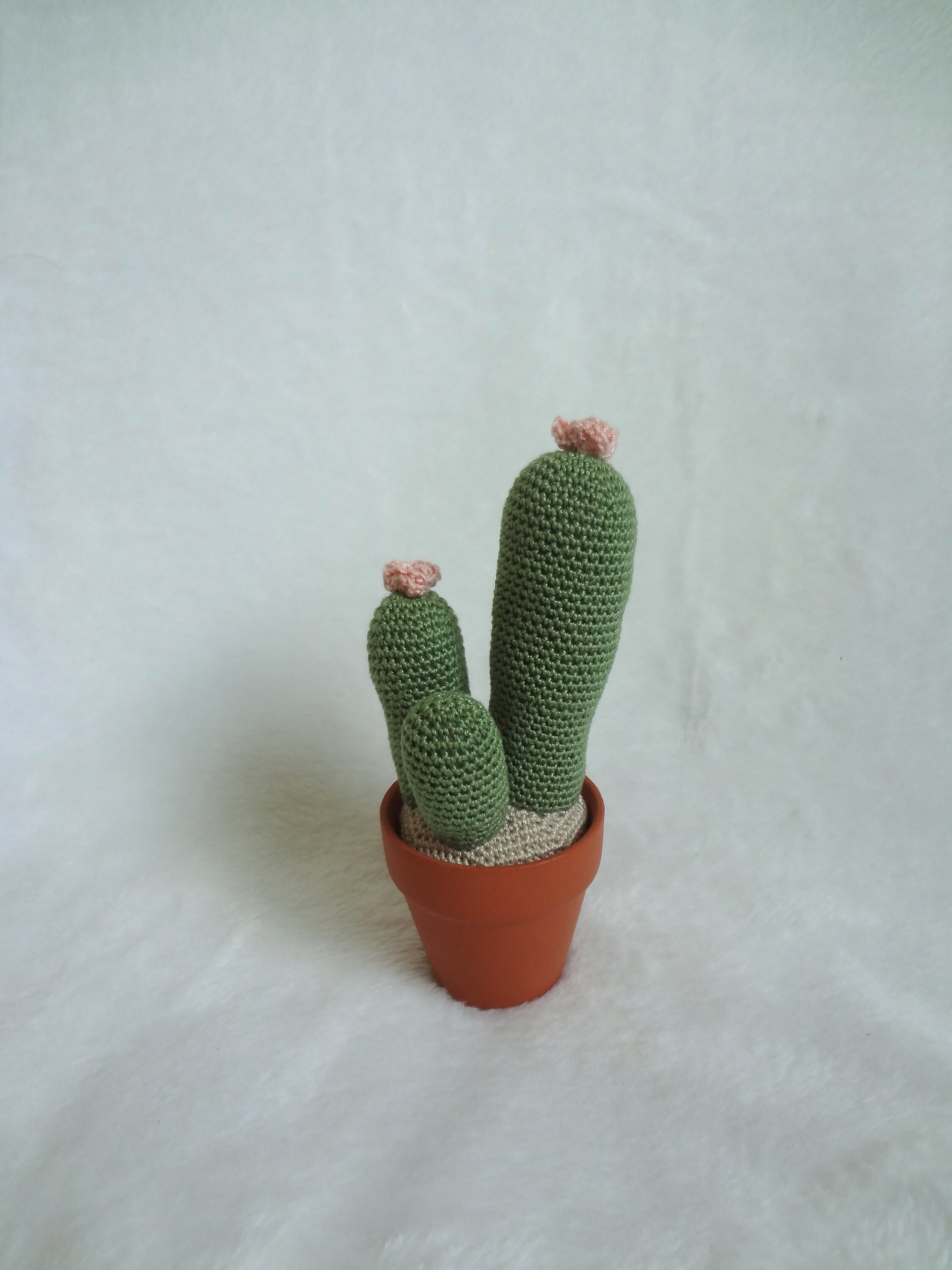 Small Crochet Cactus No. 003 Crochet Succulent Amigurumi | Etsy