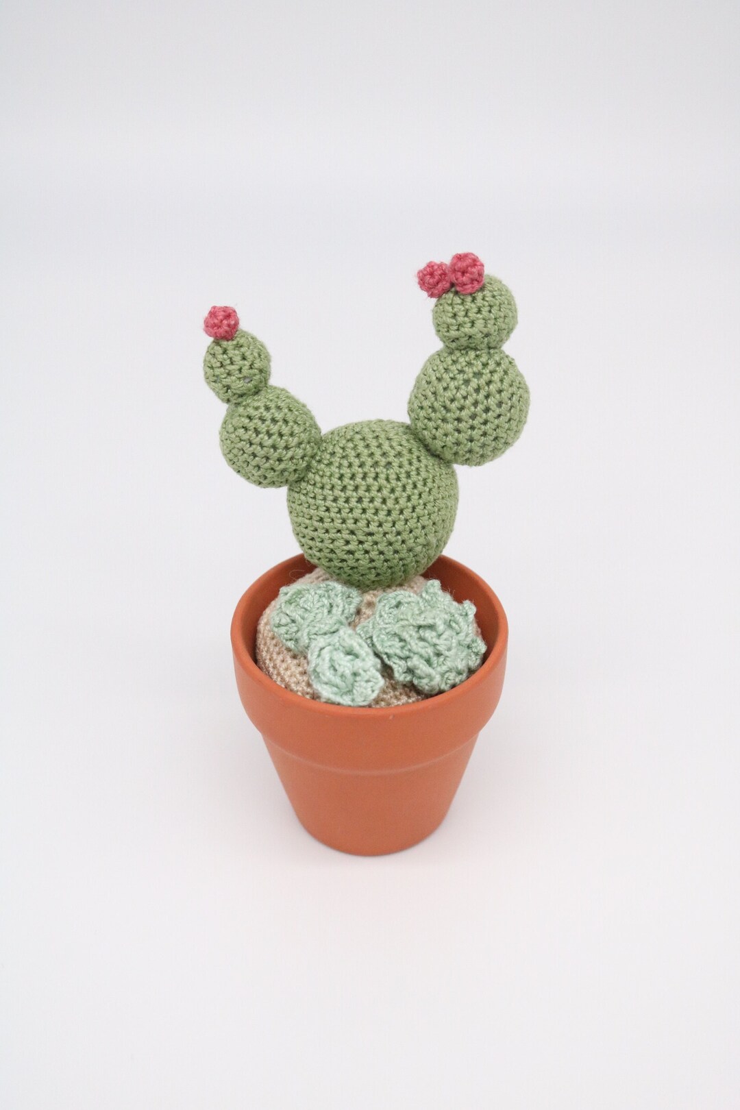 Small Crochet Cactus, No. 002 – Crochet Succulent – Amigurumi Cactus ...