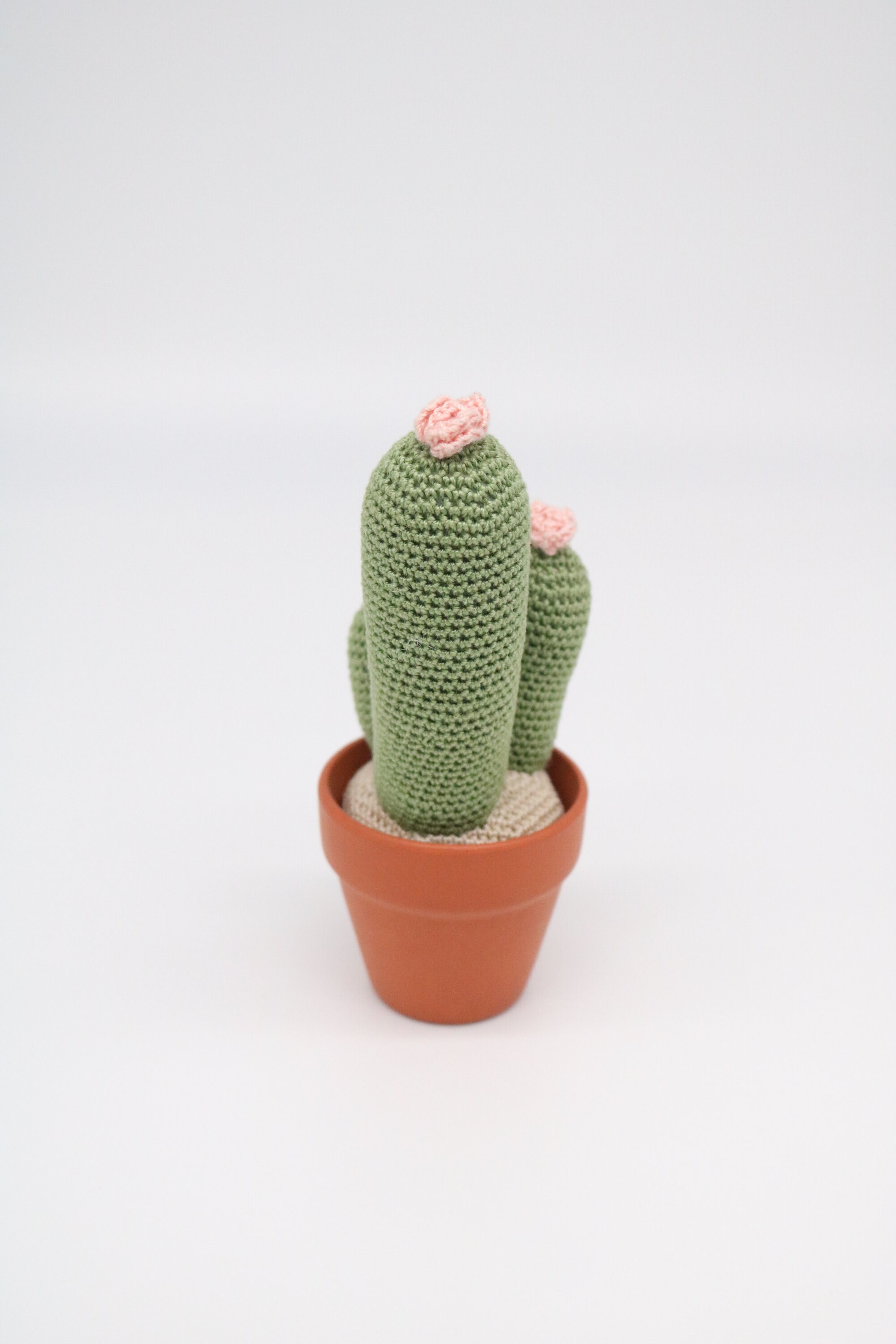 Small Crochet Cactus No. 003 Crochet Succulent Amigurumi - Etsy