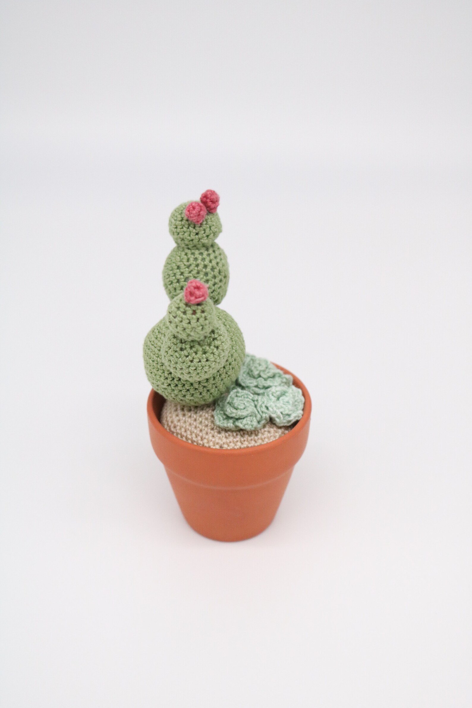 Small Crochet Cactus No. 002 Crochet Succulent Amigurumi - Etsy