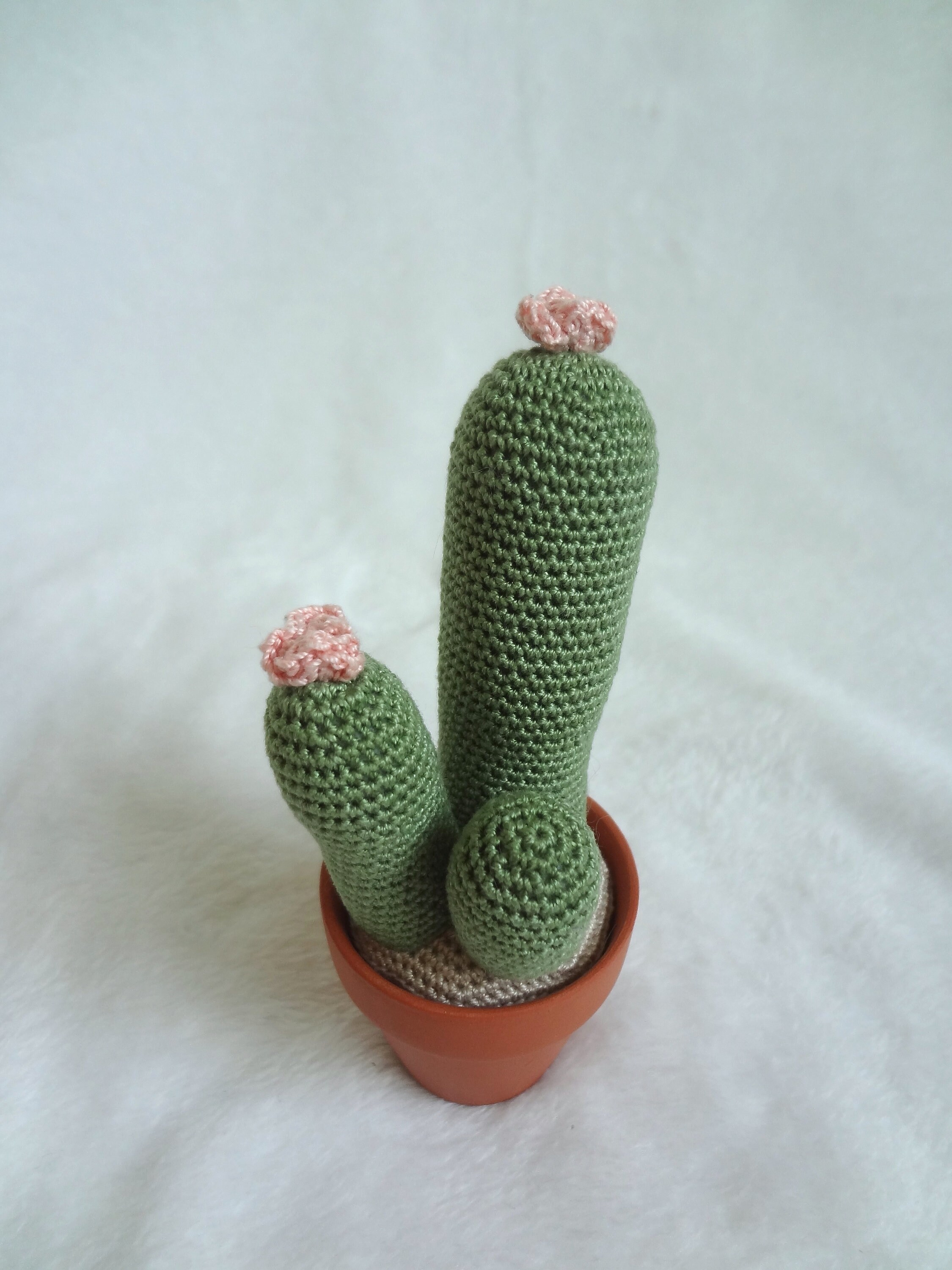 Small Crochet Cactus No. 003 Crochet Succulent Amigurumi | Etsy