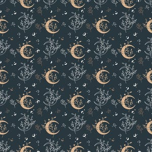 Celestial Fabric, Ethereal Material, Moon Textiles, Astronomy Design ...