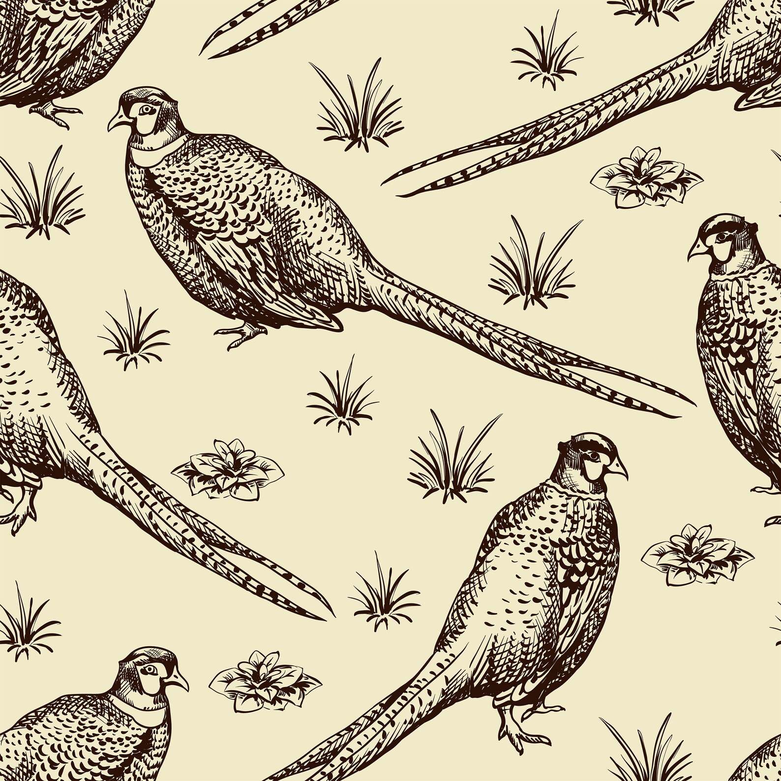 Victorian Wallpaper Bird Wallpaper Peel and Stick Wallpaper - Etsy