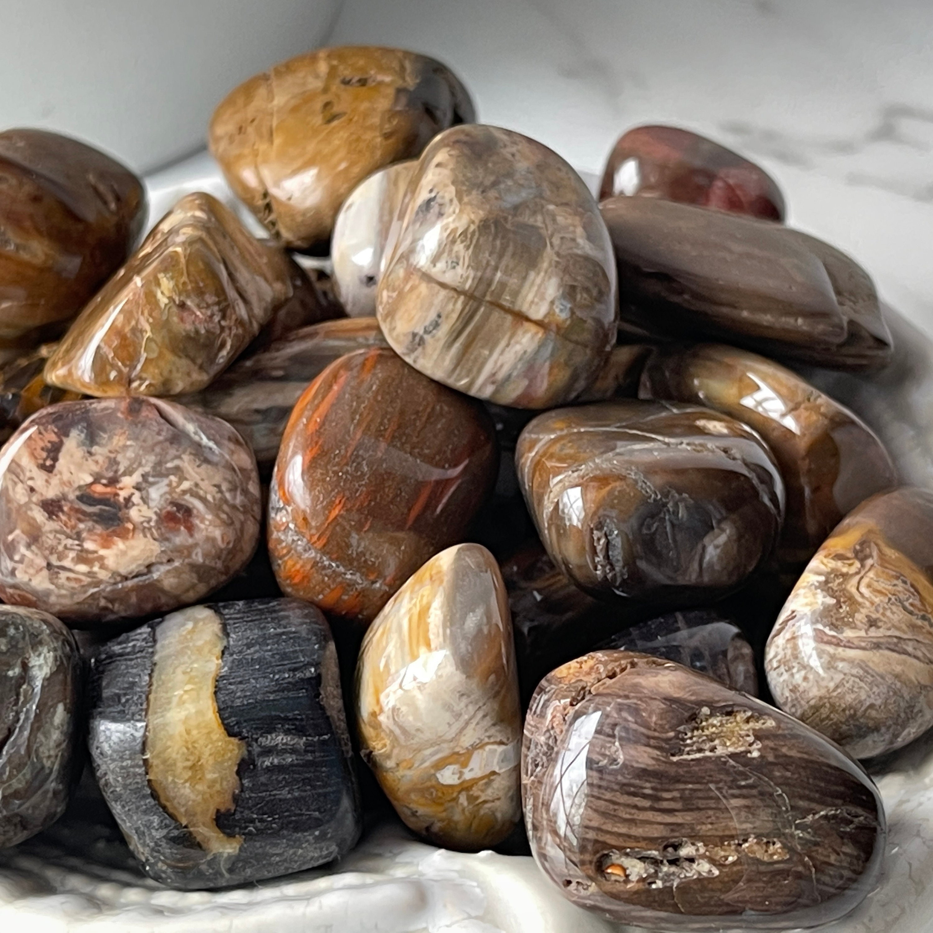 Tumbled Petrified Wood