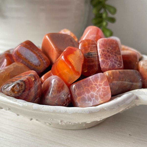 Snakeskin Agate - Etsy