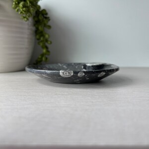 Orthoceras & Goniatite Ammonite Fossil Bowl - Etsy