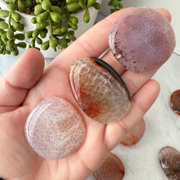 Snakeskin Agate - Etsy