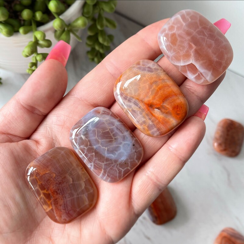 Snakeskin Agate - Etsy