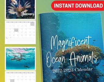 Ocean Animals Calendar | Etsy
