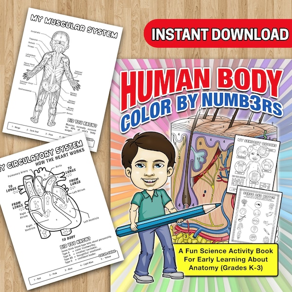 Human Body Book - Etsy
