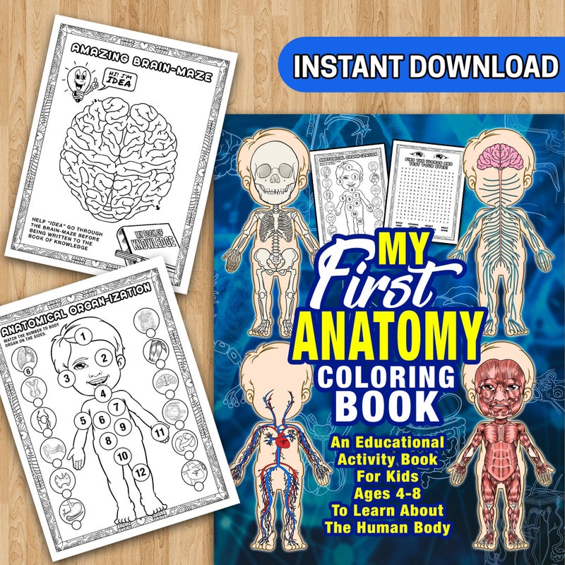 Human Anatomy Printable - Etsy