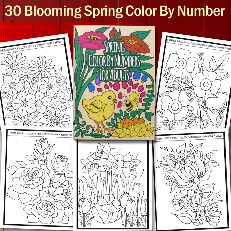 BEST VALUE Spring Color by Numbers for Adults Instant - Etsy