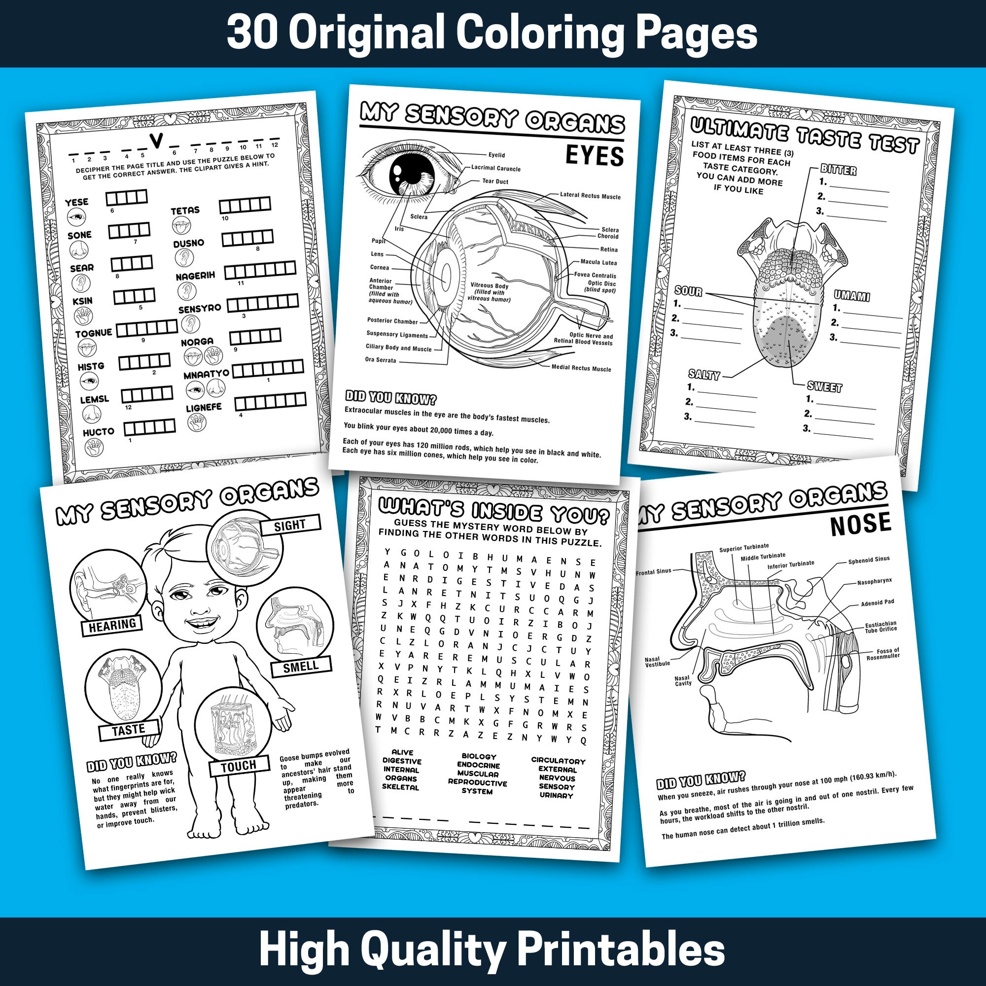 BEST VALUE My First Anatomy Coloring Book - Educational Human Anatomy ...