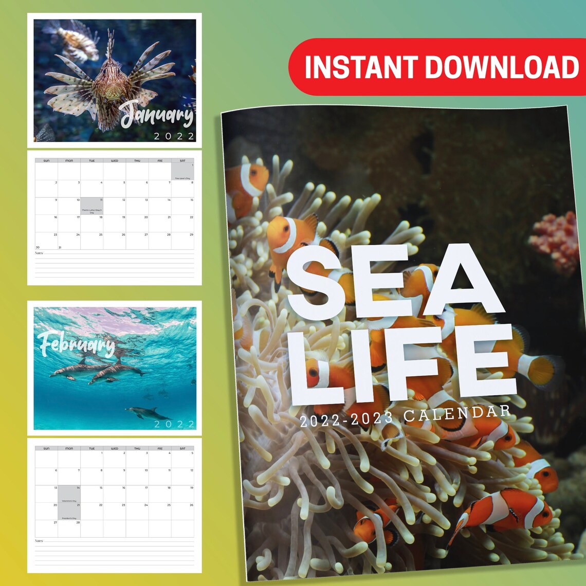 BEST VALUE Sea Life Calendar 2022-2023 - Instant Download 16 Months of ...