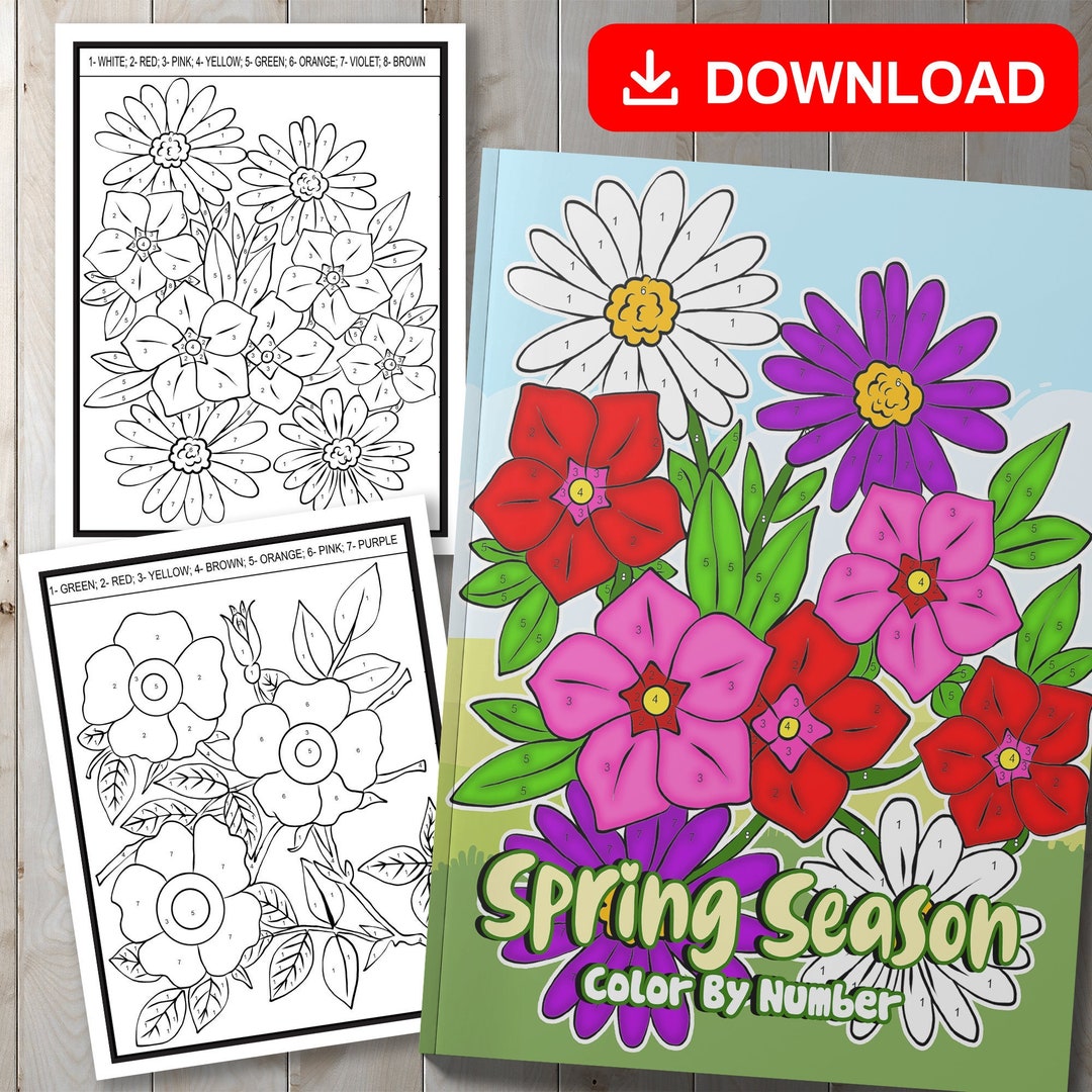 BEST VALUE Spring Season Color by Number - Instant Download Large Print ...