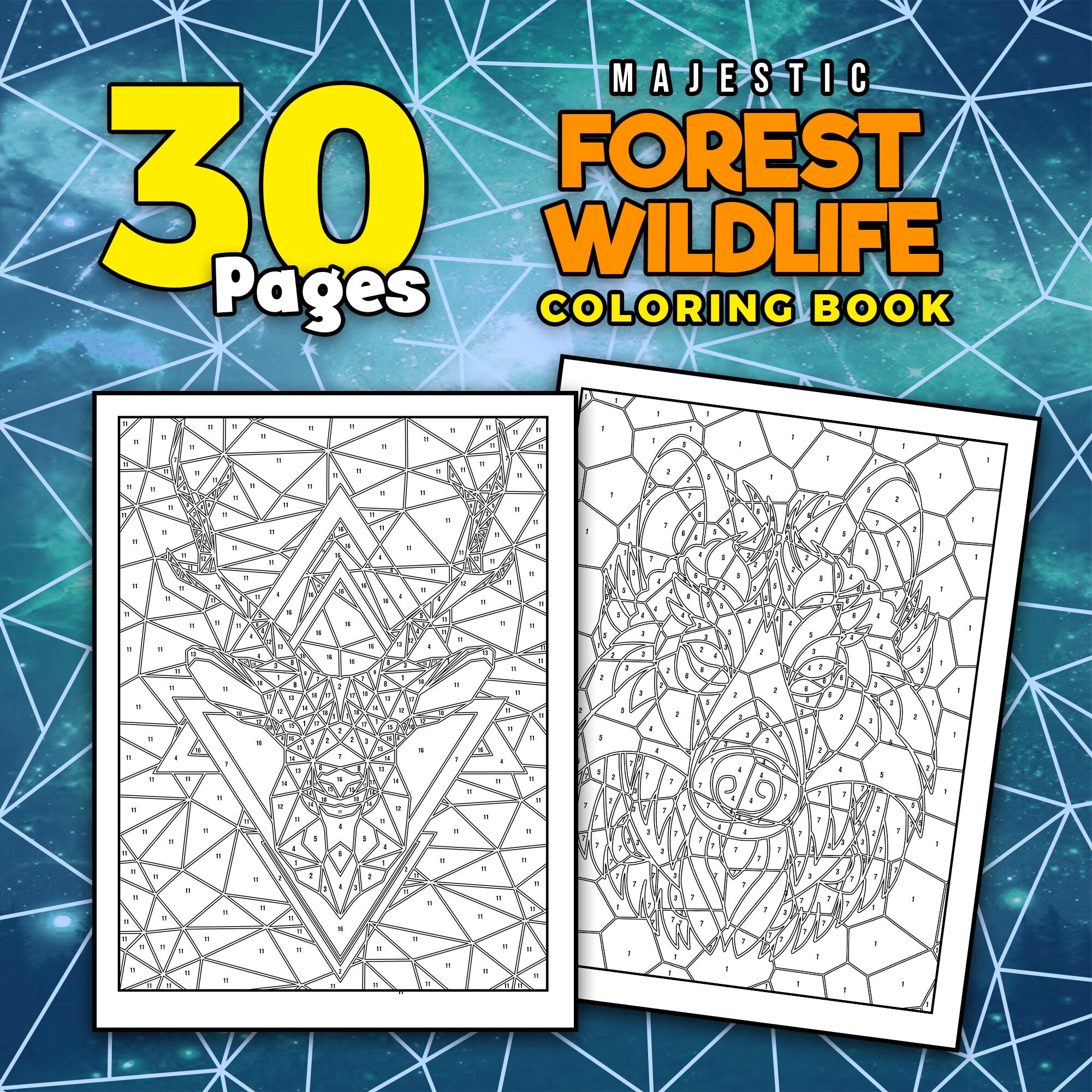BEST VALUE Majestic Forest Wildlife Coloring Book A Color by - Etsy