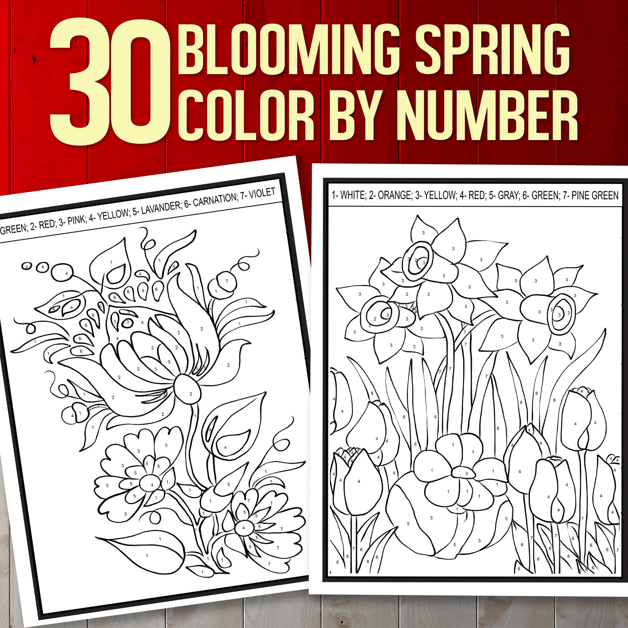 BEST VALUE Spring Color by Number Book for Adults Instant Download ...