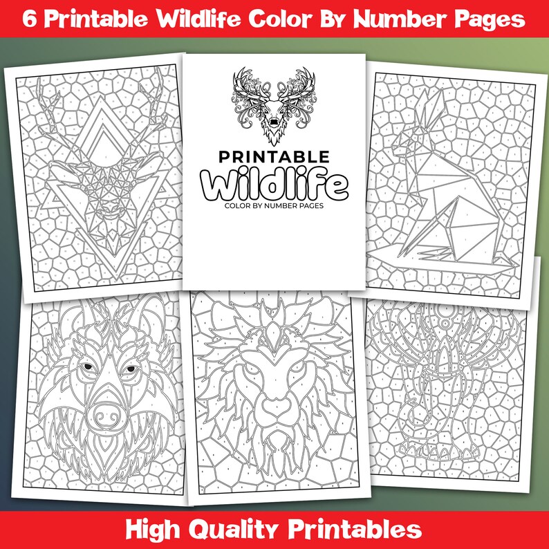 Printable Wildlife Color by Number Pages Instant Download Majestic ...