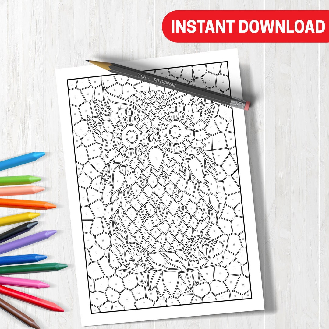 BEST VALUE Owl Printable Color by Number Mosaic Coloring Page - Instant ...
